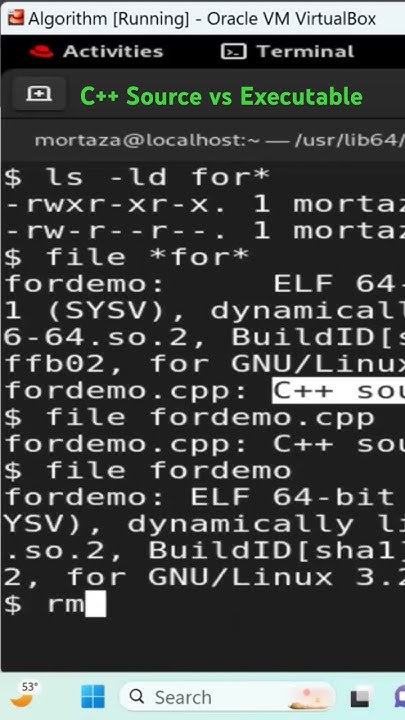 C++ Source vs Executable - YouTube