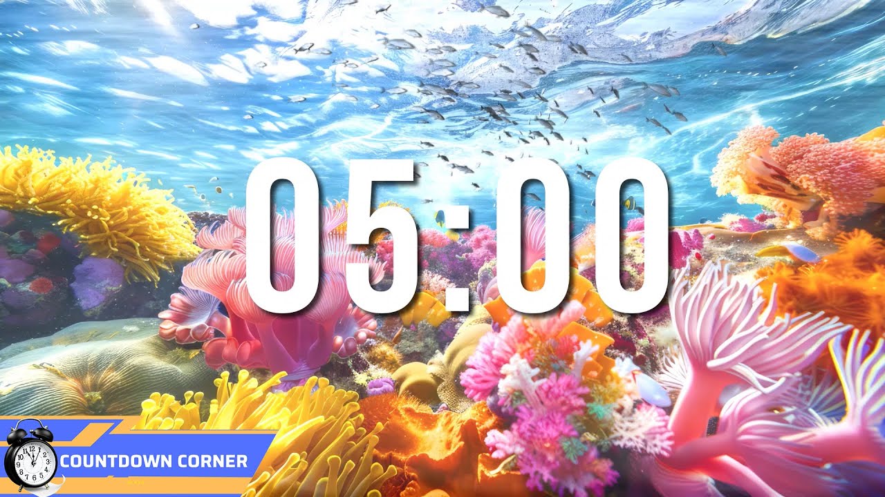 Colorful Coral Reef 5 Minute Timer for Relaxation and Focus - YouTube