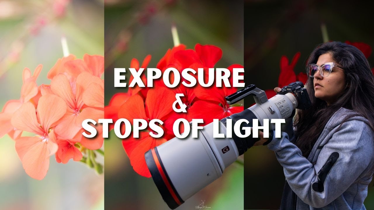 Exposure & STOPS of Light explained in Detail | Comprehensive ...
