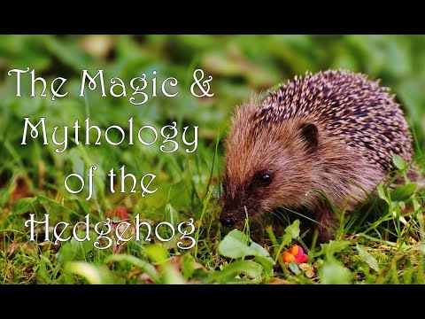 The Magic & Mythology of the Hedgehog - YouTube