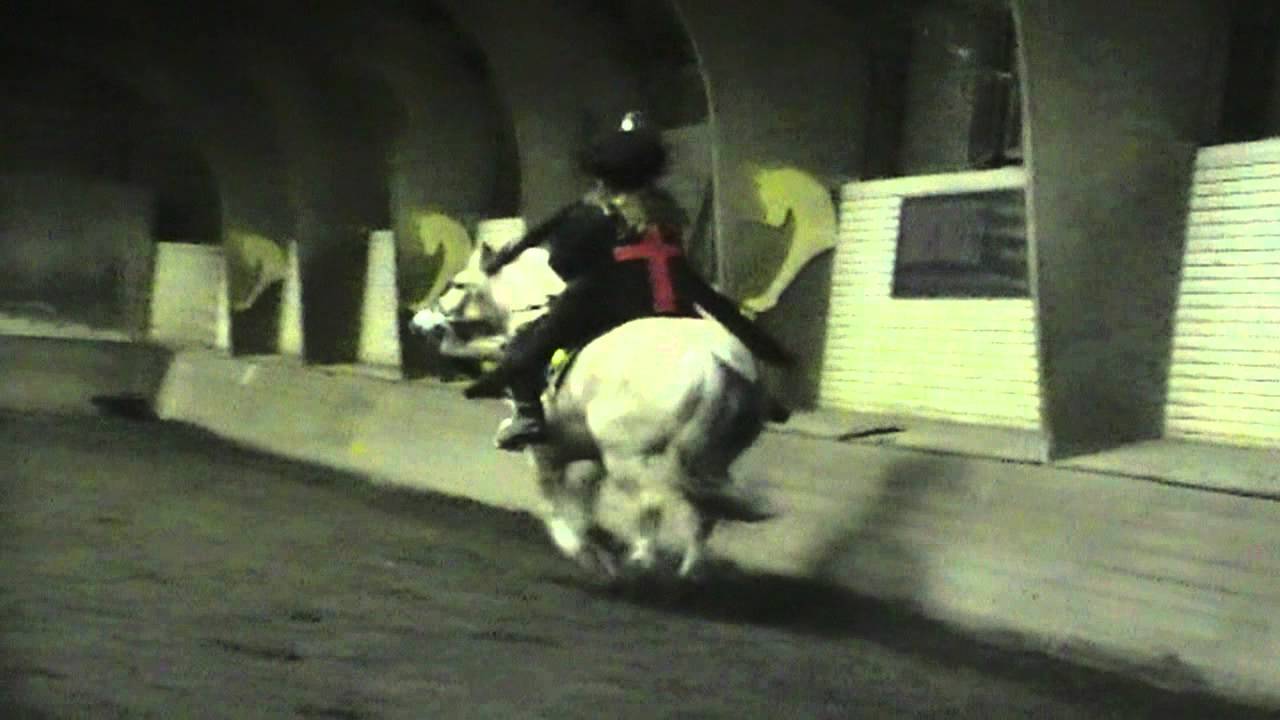 Shannon op Rex Halloween 26-10-2013 - YouTube