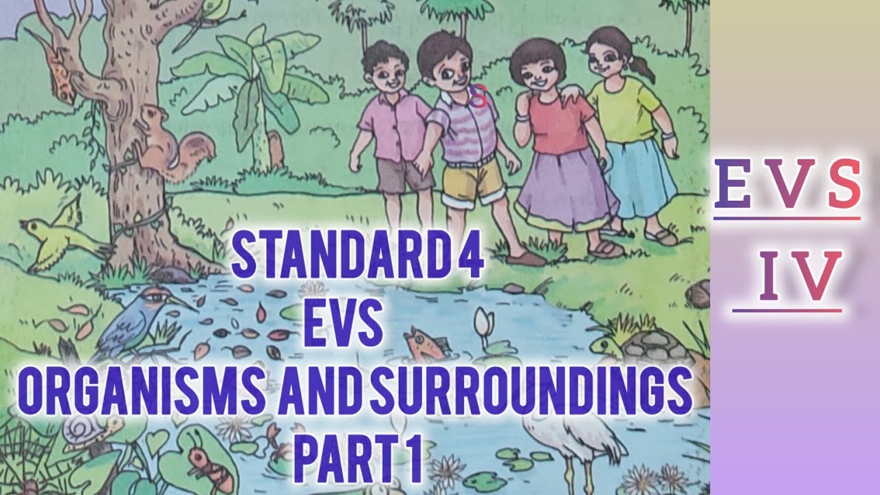 STANDARD 4 EVS ORGANISMS AND SURROUNDINGS ClASS PART- 1 - YouTube