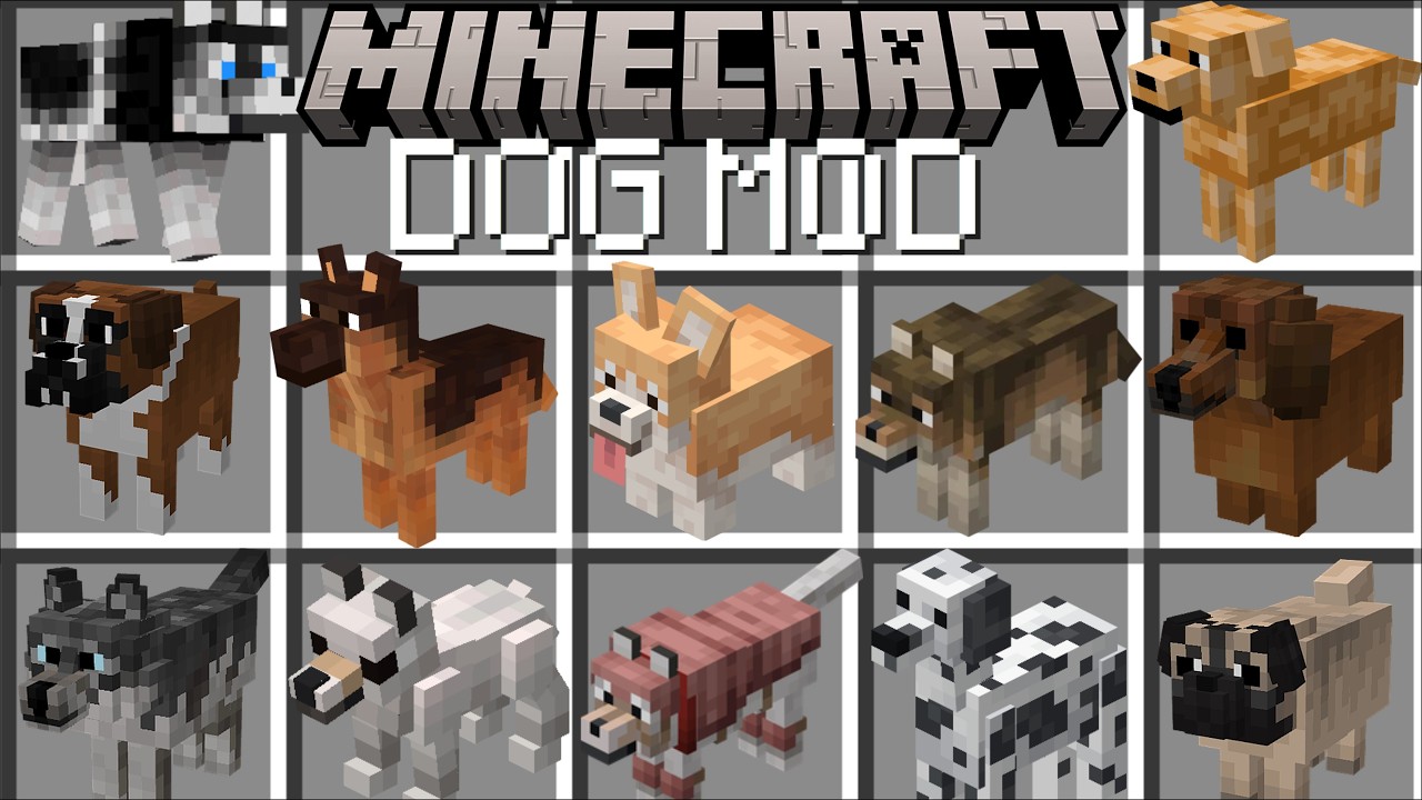 Minecraft NEW DOG MOD / Spawn All Dogs In Dog School Mod - YouTube