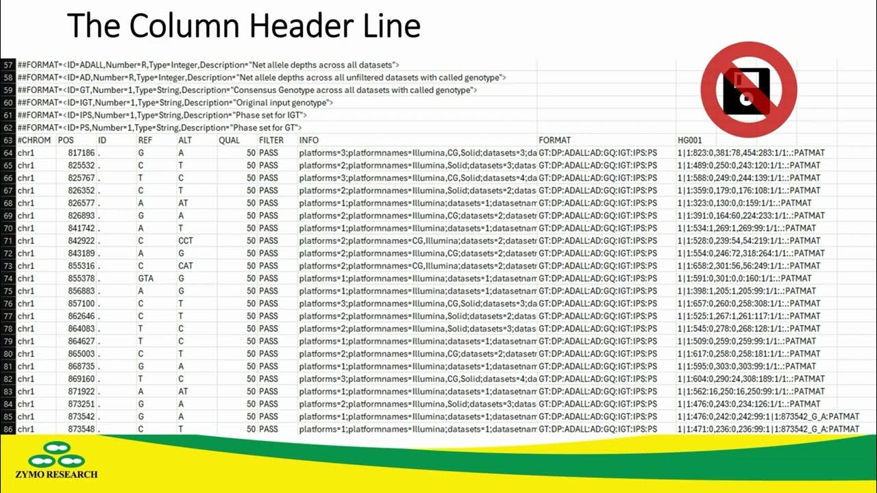 🔬 Understanding Variant Call Format (VCF) in Genomics - YouTube