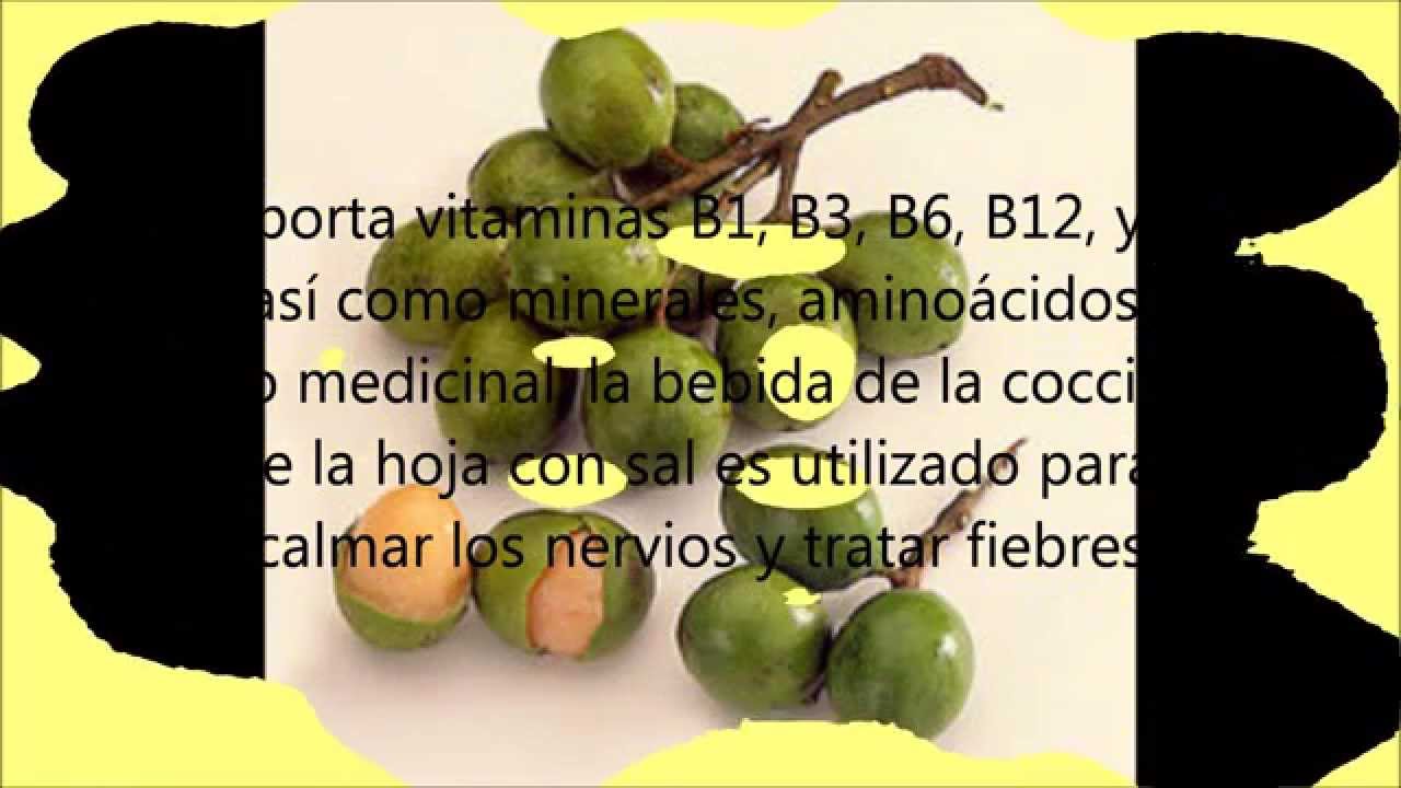 El Motoyoé, fruto típico de Santa Cruz Bolivia - YouTube
