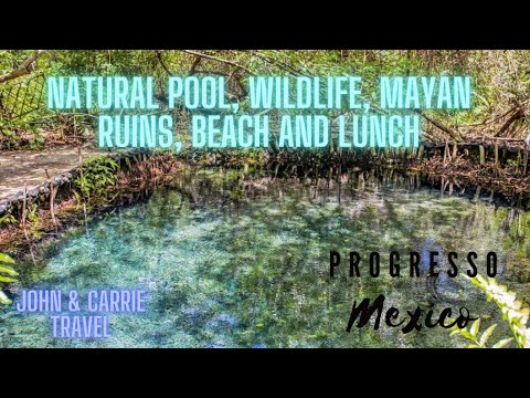Natural Pool, Wildlife, Mayan Ruins, Beach and Lunch - Progresso Mexico ...