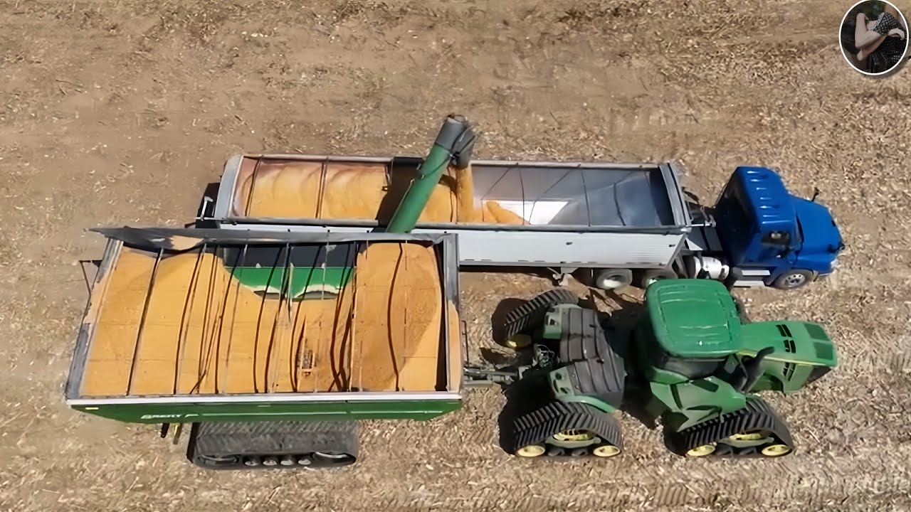 First Corn Harvest of the 2024 Season: Kicking Off with a Powerful ...
