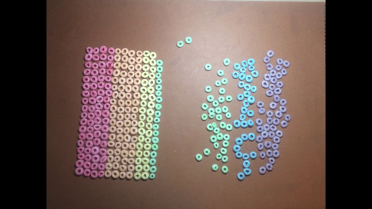 Found Object Animation - YouTube