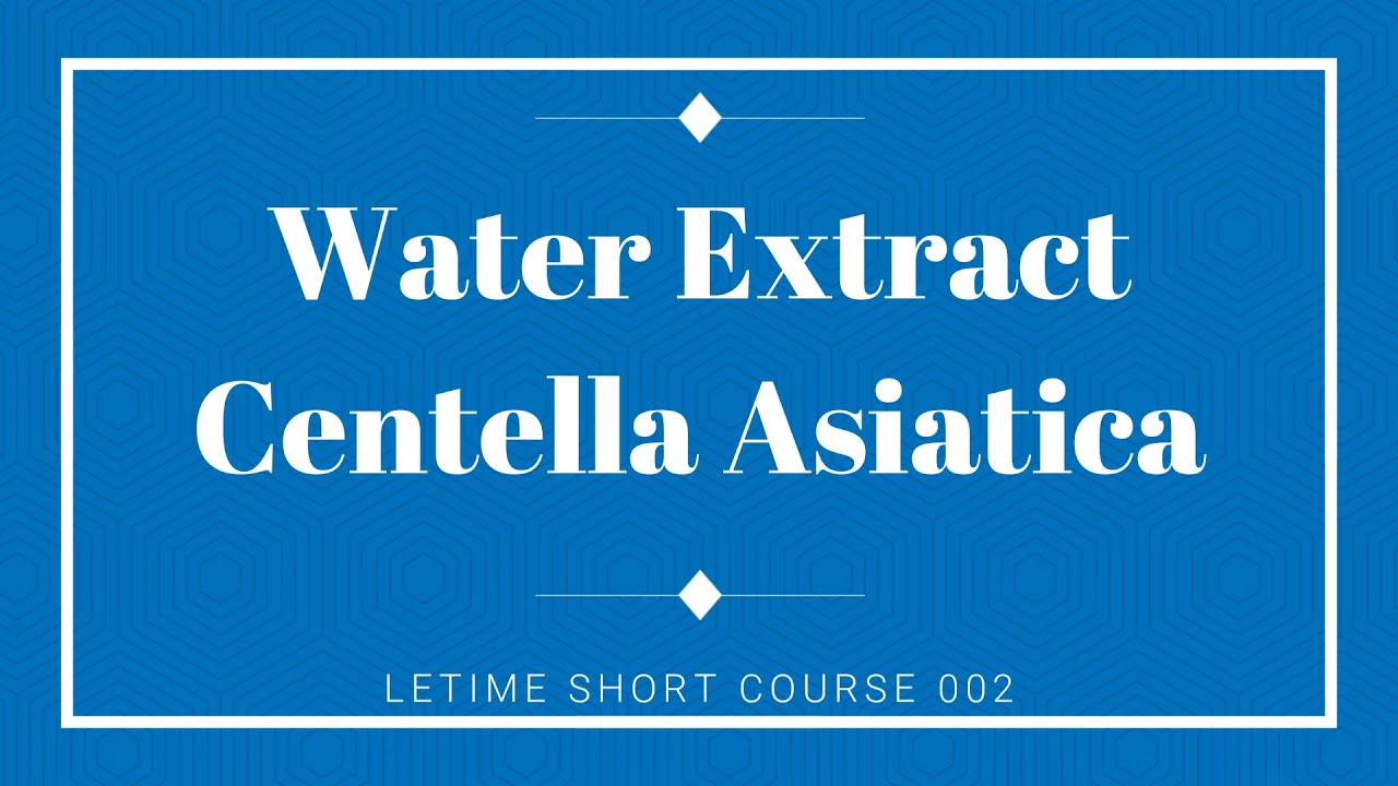 Centella Asiatica: How to Extract at Home, Water Extraction for ...