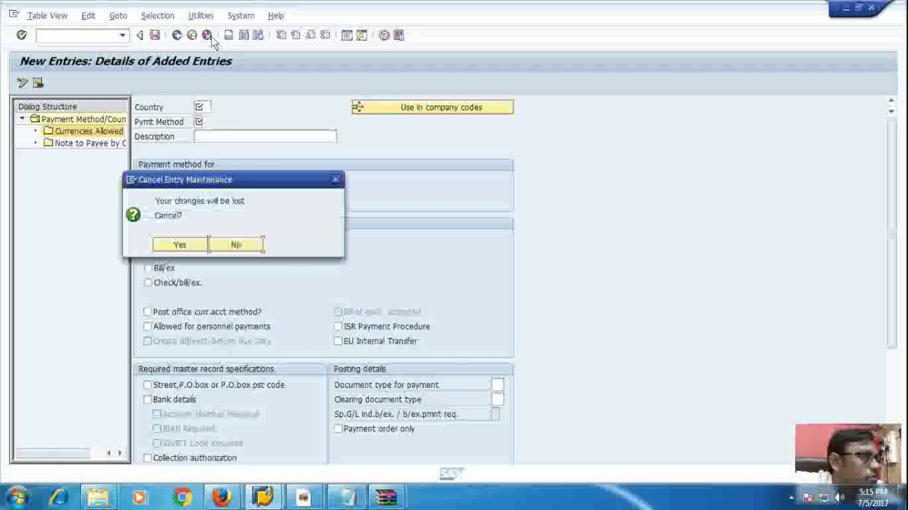 sap arap automatic outgoing payments setting up all company codes for ...