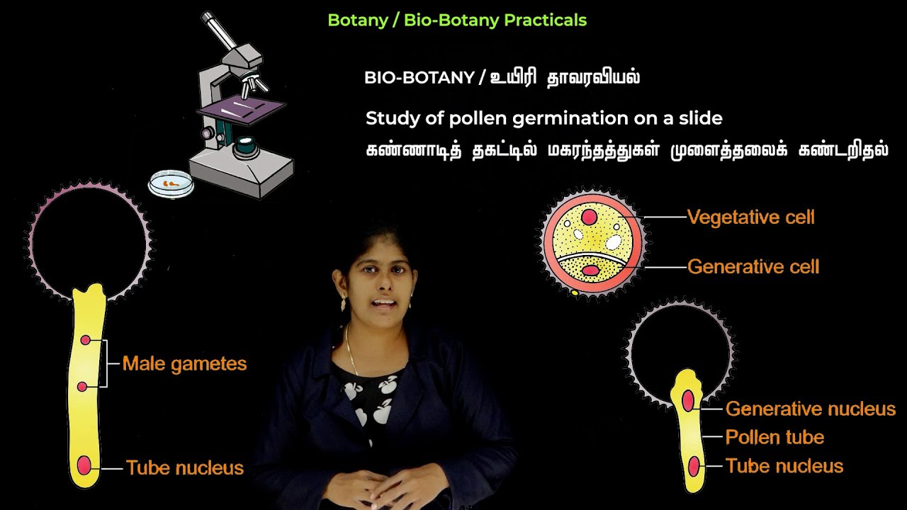 12th Botany/Bio-Botany | Experiments | Part–II | Public Practical Exam ...