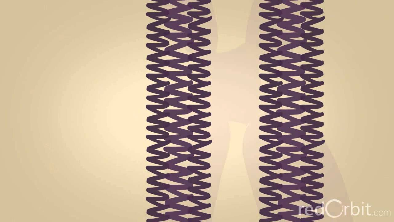 What is DNA? - YouTube