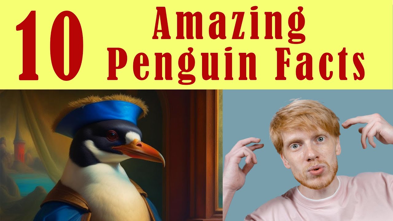 10 amazing penguin facts! - YouTube