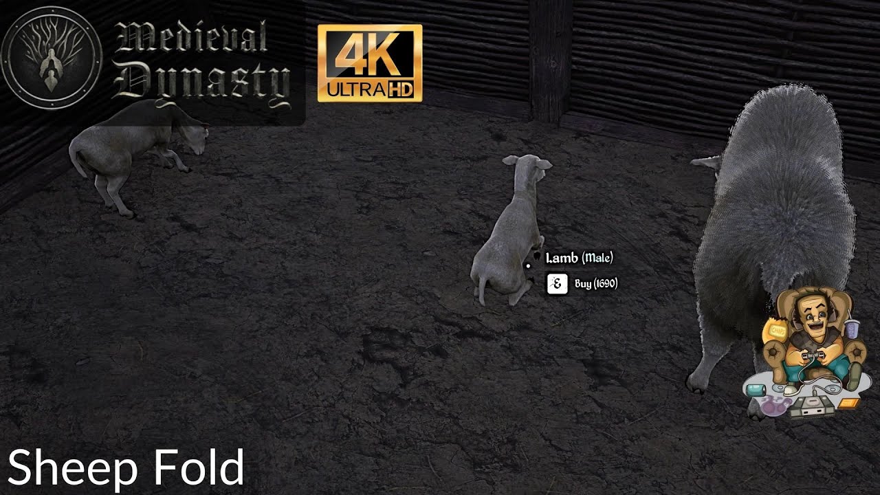 Medieval Dynasty Sheep Fold, 4K Ep28 - YouTube