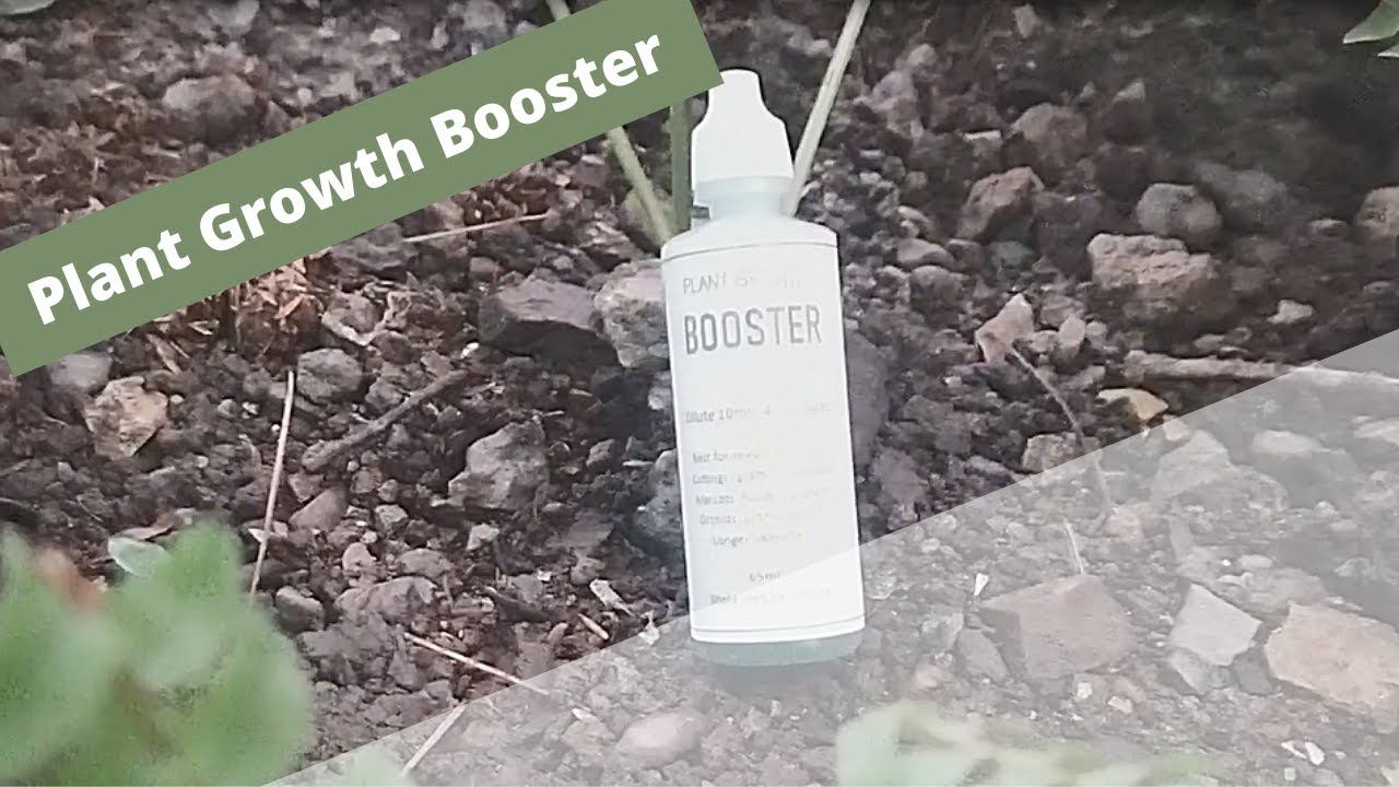 Growth Plant Booster _ How to prepare and it's uses - YouTube