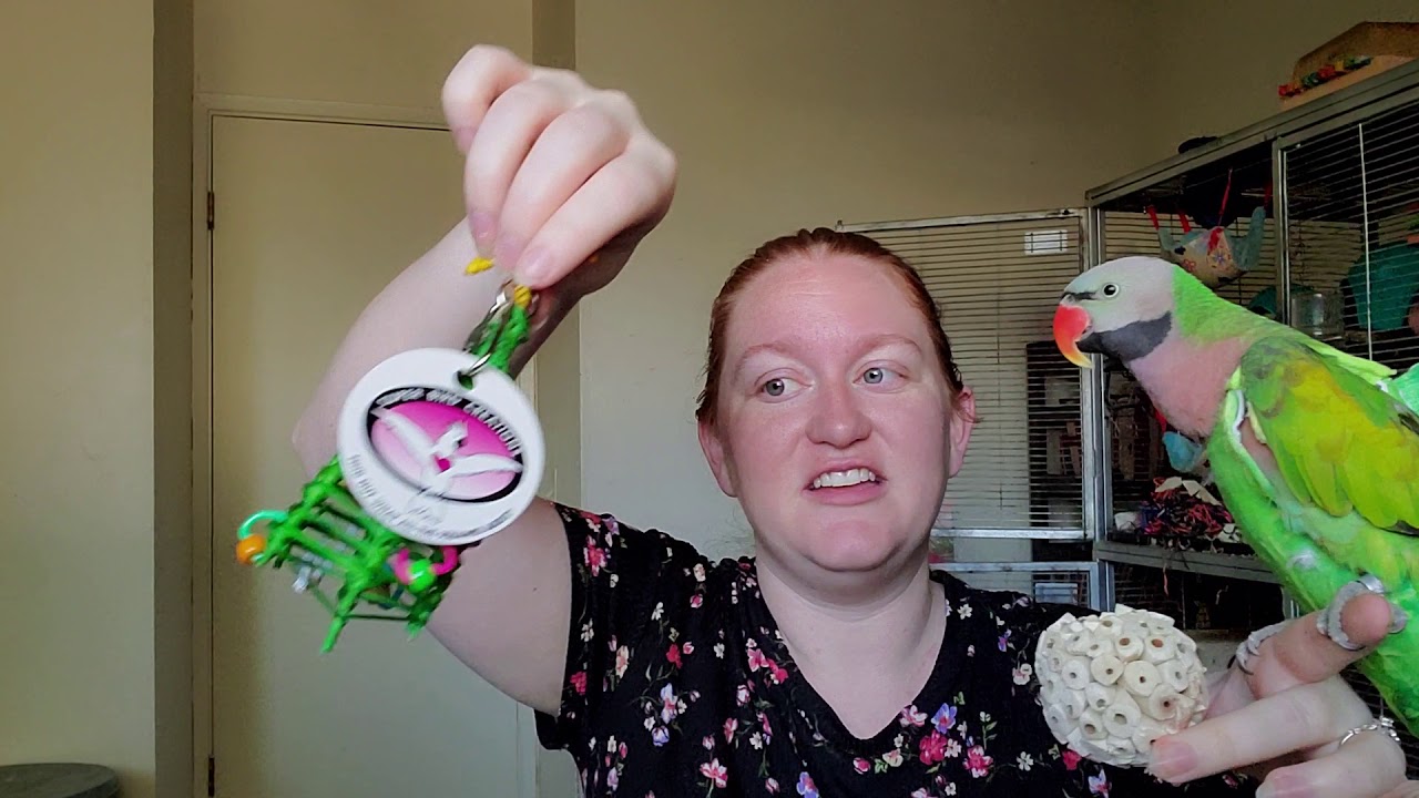 2019 December Feathered Fun Box - YouTube