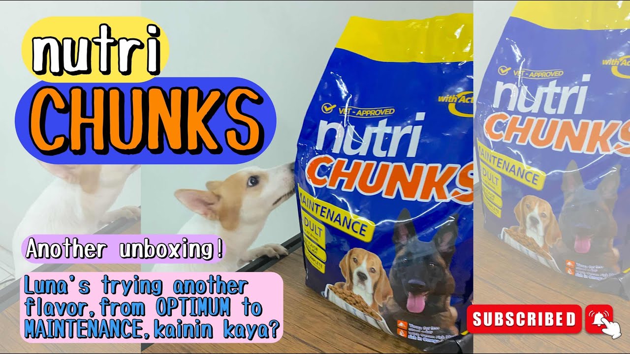 NUTRI CHUNKS MAINTENANCE #Nutrichunks #Dogfood #Aspin - YouTube