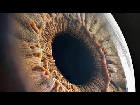 World under Microscope Part 1 || Quest Compass - YouTube