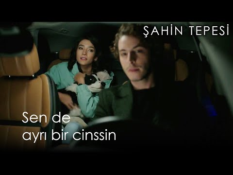 Şahin Tepesi 3.Bölüm -  En Etkili Sahneler #1