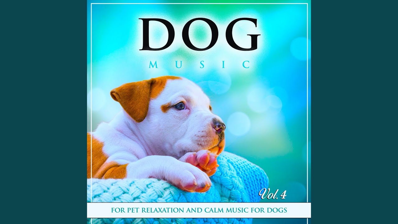 Relaxing Music For Animals - YouTube