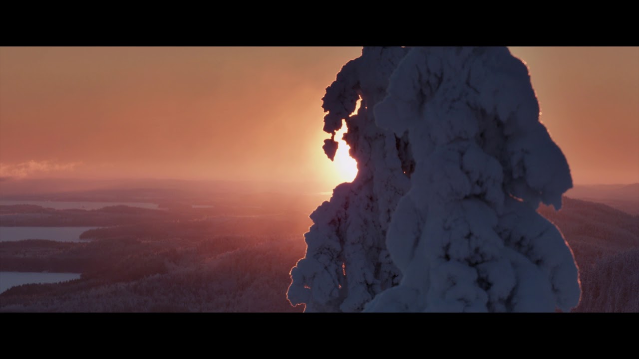 Mustarinta - A Film About Koli Short movie | Traileri - YouTube