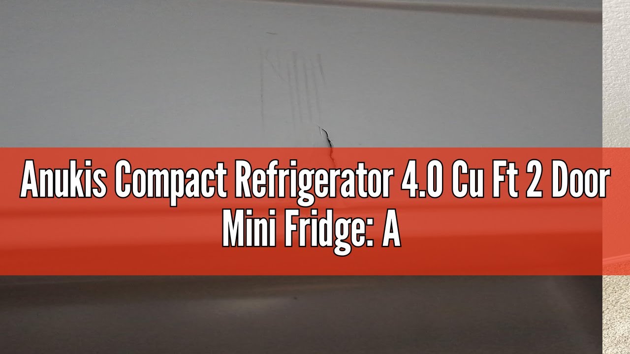 Anukis Compact Refrigerator 4.0 Cu Ft 2 Door Mini Fridge: A ...