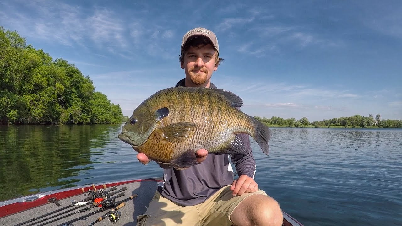 Minnesota Bass Fishing & PB Bluegill!! - YouTube
