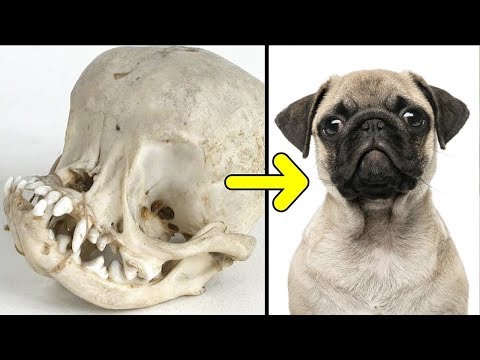 BİLMEDİĞİNİZ 30 ŞEYİ 5 DAKİKADA ÖĞRENECEKSİNİZ !