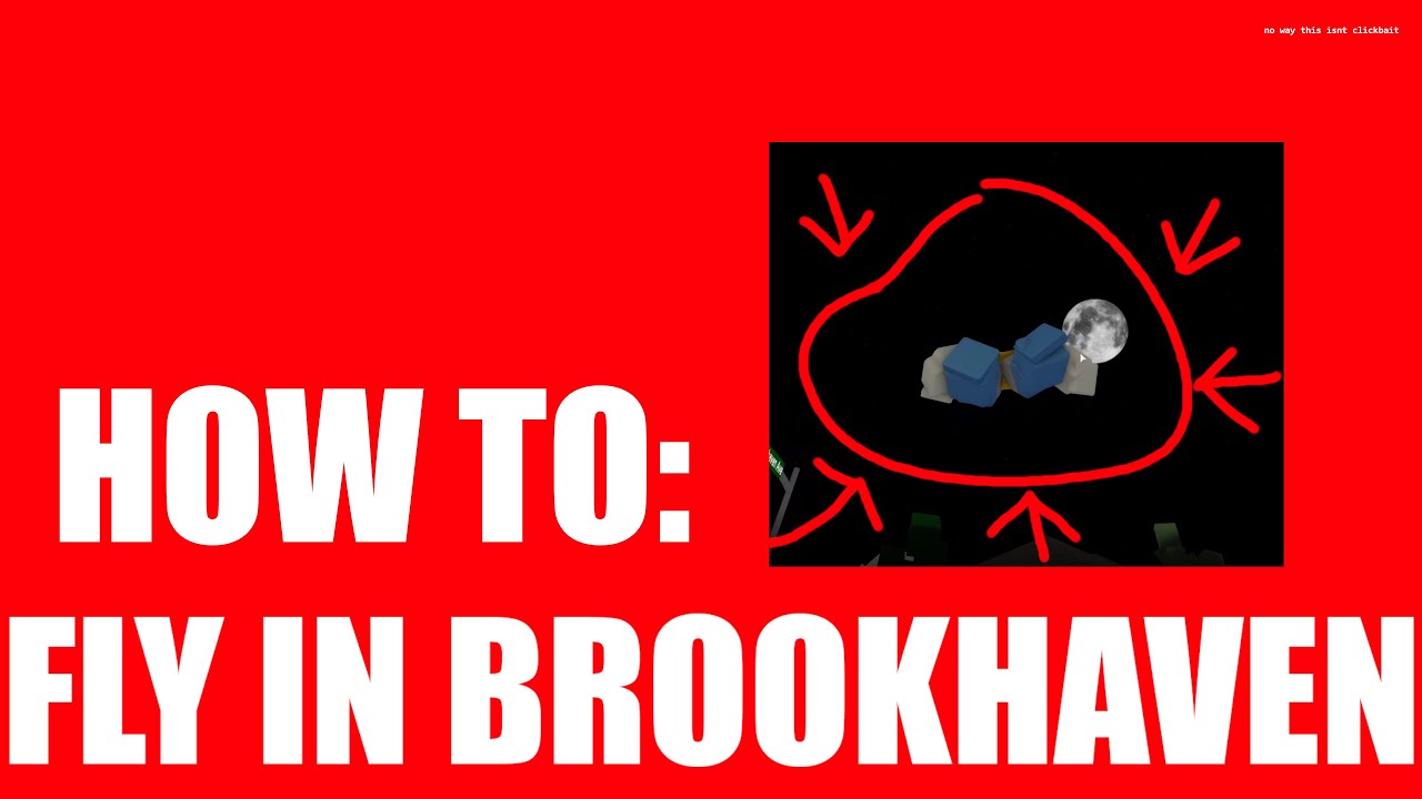 How to FLY in Brookhaven (Roblox) - YouTube