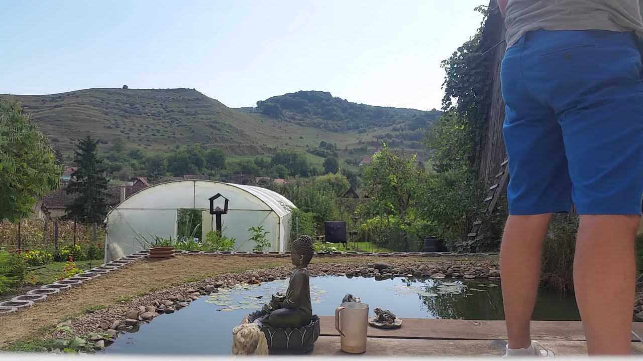 Mathews sq2 solo cam - YouTube