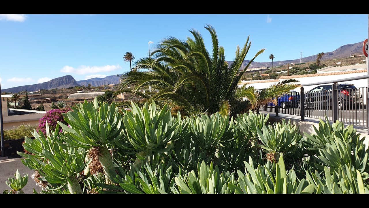 Hotel Monte Feliz, Bahia Feliz, Roomtour, Gran Canaria - YouTube