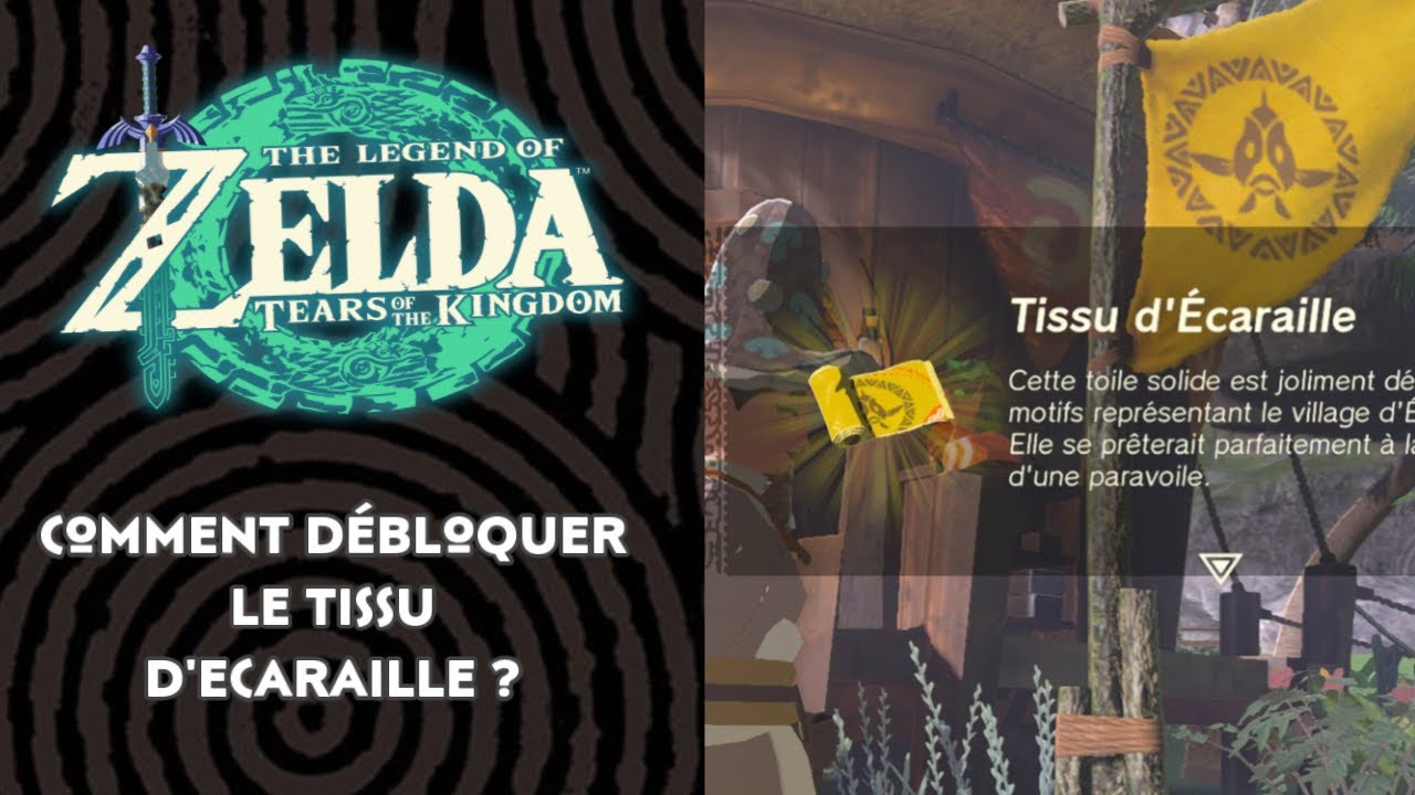 Comment débloquer le tissu d’écaraille ? - ZELDA : TEARS OF THE KINGDOM ...