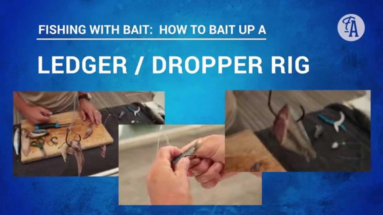 BAIT FISHING: How to put bait on a LEDGER/DROPPER rig, pilchard, squid ...