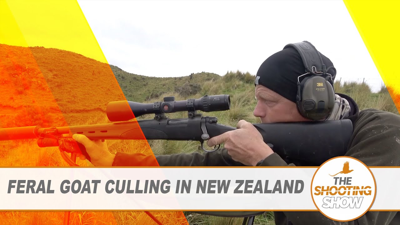 The Shooting Show - Feral goat culling, stalking for muntjac PLUS ...