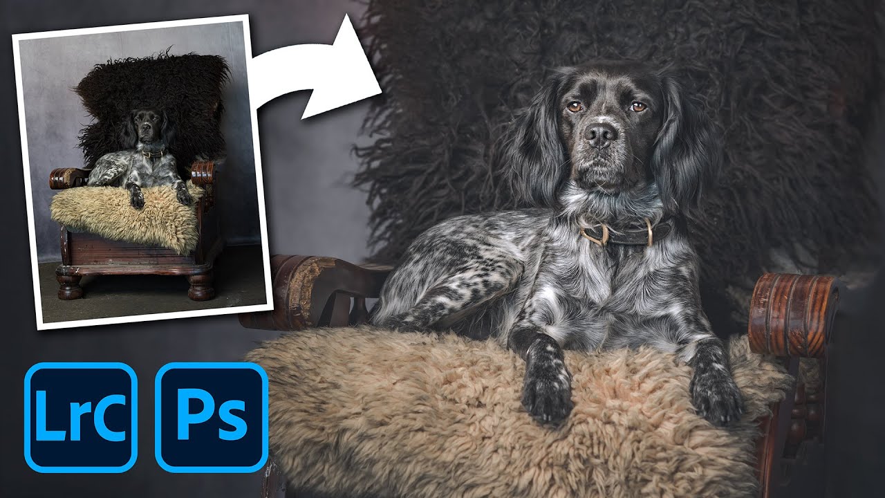 DOG PORTRAIT from START to FINISH in Lightroom and Photoshop - YouTube