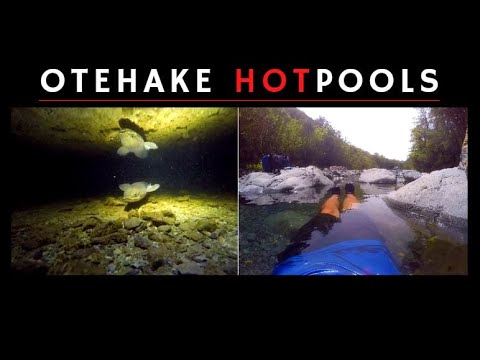 Otehake Hotpools | Close Encounter with a Curious Carnivore - YouTube