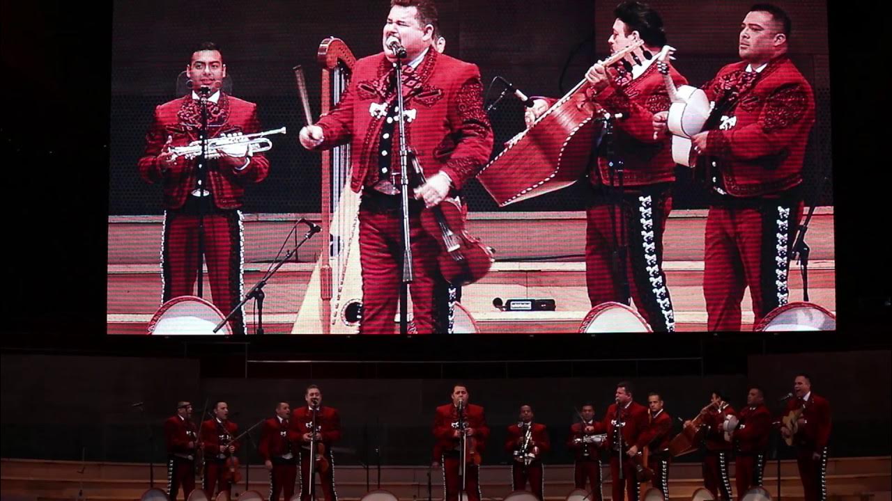 Mexico Lindo & Los Pollitos - Mariachi Los Camperos - YouTube