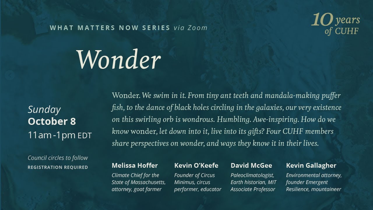 Wonder | International CUHF Series - YouTube