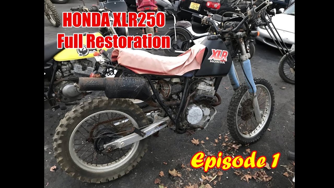 Xr250l Rebuild