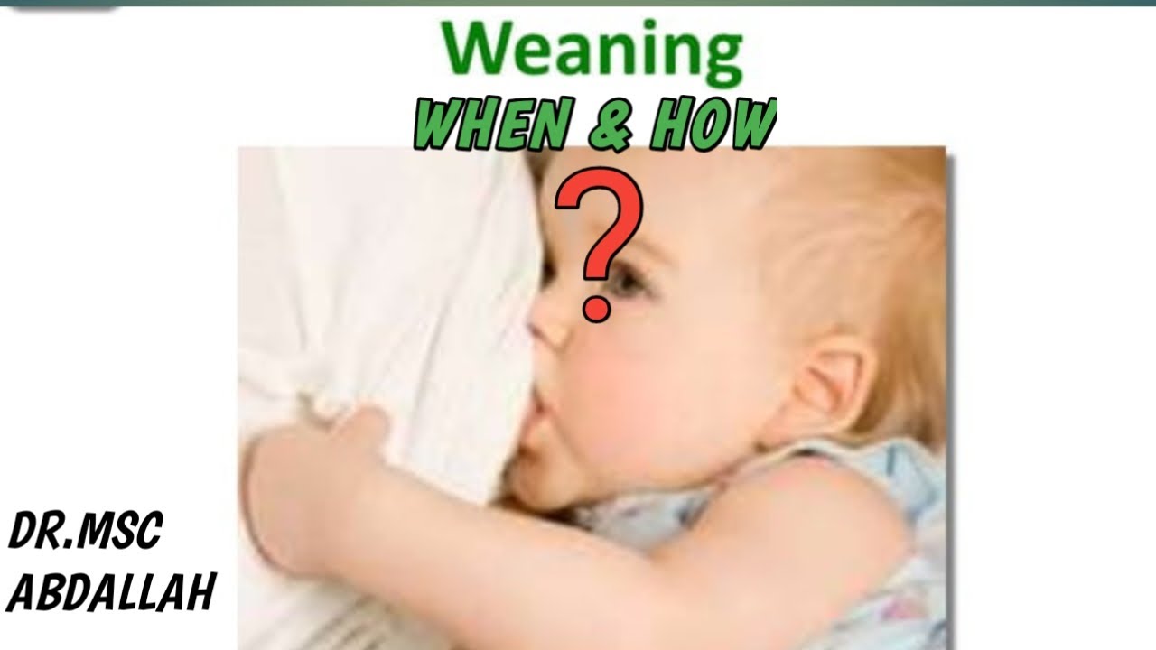 Weaning, how and when ? | Healthy dietary supplement| pediatrics health ...
