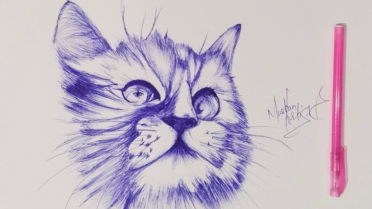 How To Draw Realistic Cat Drawing With Pen | Pen Se Billi Kaise ...