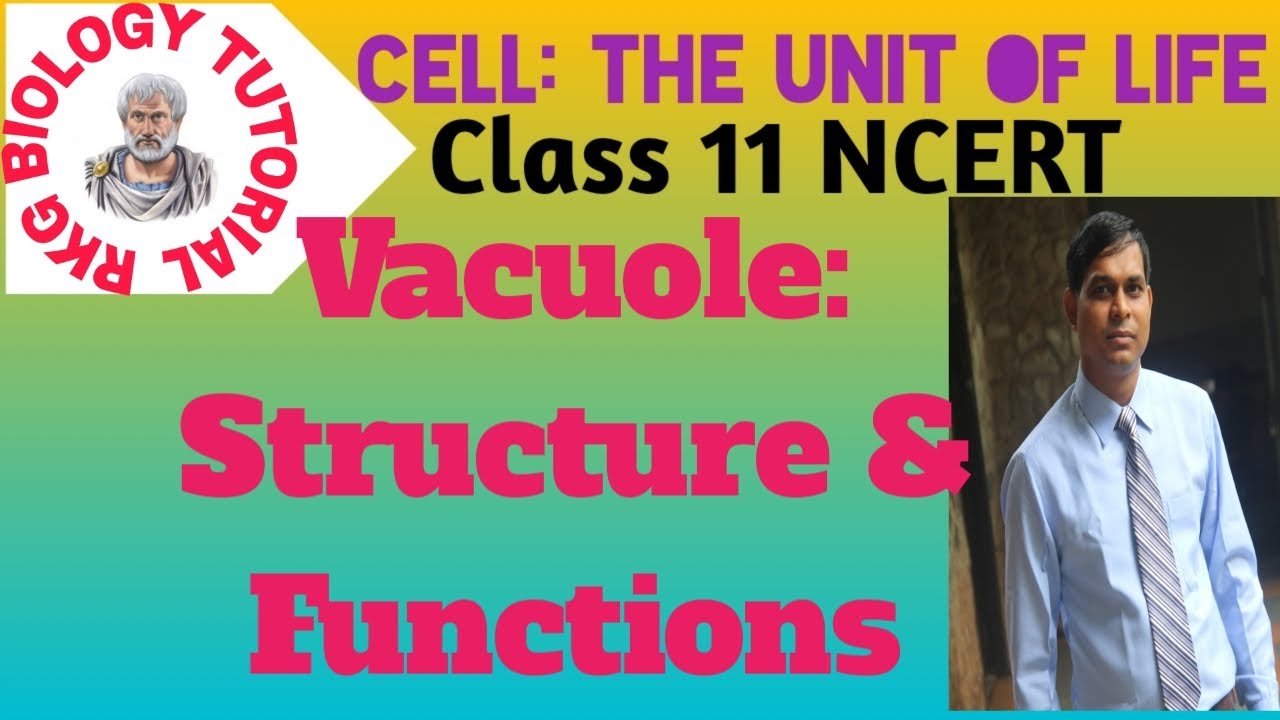 Vacuole: Structure and Functions, Contractile vacuole, Food vacuole ...