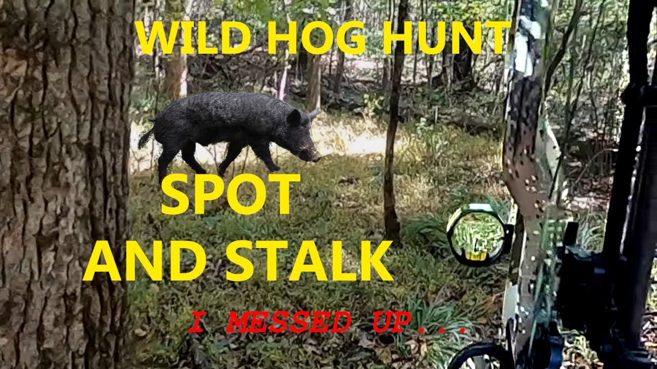 Solo Spot and Stalk - Deep Woods Hog Hunt - YouTube