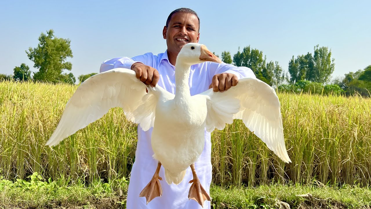 Duck Karahi Recipe | Batakh Karahi | Duck Karahi Is Better Than Mutton ...