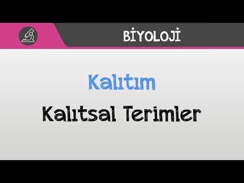 Kalıtım - Kalıtsal Terimler
