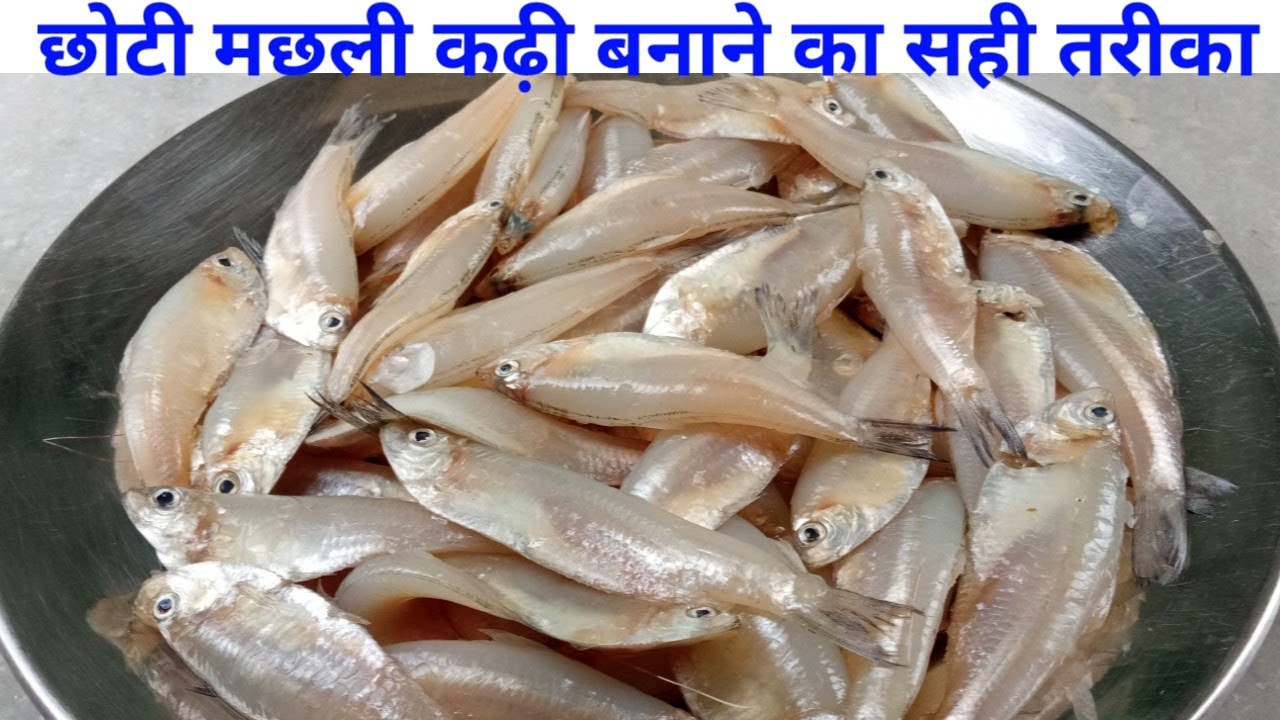 छोटी मछली बनाने का सबसे आसान तरीका हिन्दी में देखें/small fish curry ...