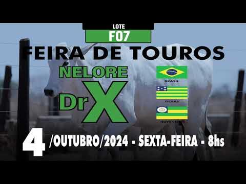 LOTE F07 DRX 360 DRX 499 - YouTube