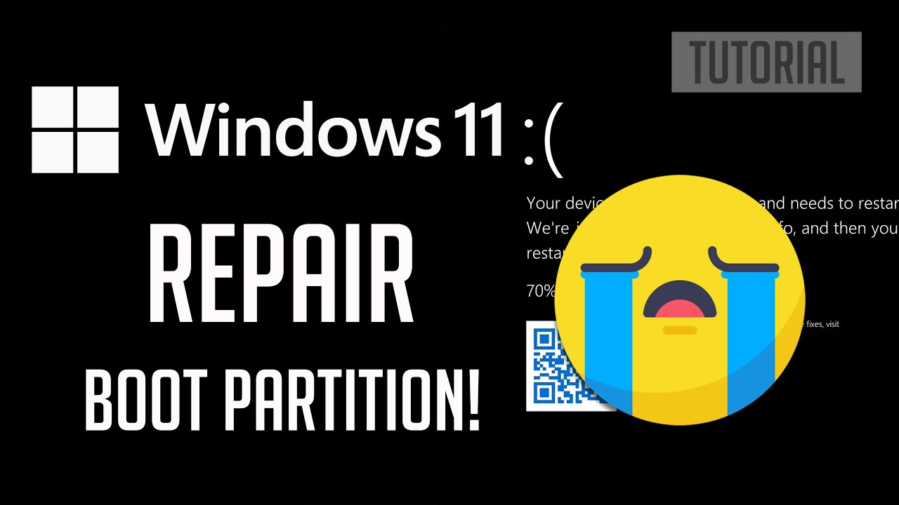 Repair Windows 11 Boot Partition | Includes Files and Partitioning ...