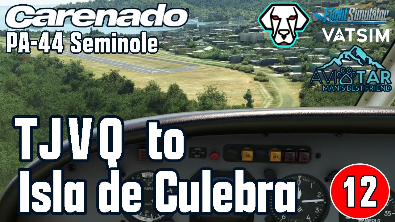 Carenado PA-44 | TJVQ - TJCP | Flt #12 | Buster & Me | #msfs2020 #msfs ...