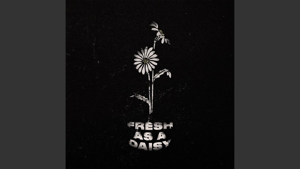Fresh As A Daisy - YouTube
